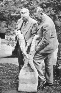 The Fate of the Rash Platybelodon | Natural History Magazine