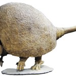 Doedicurus clavicaudatus | Natural History Magazine